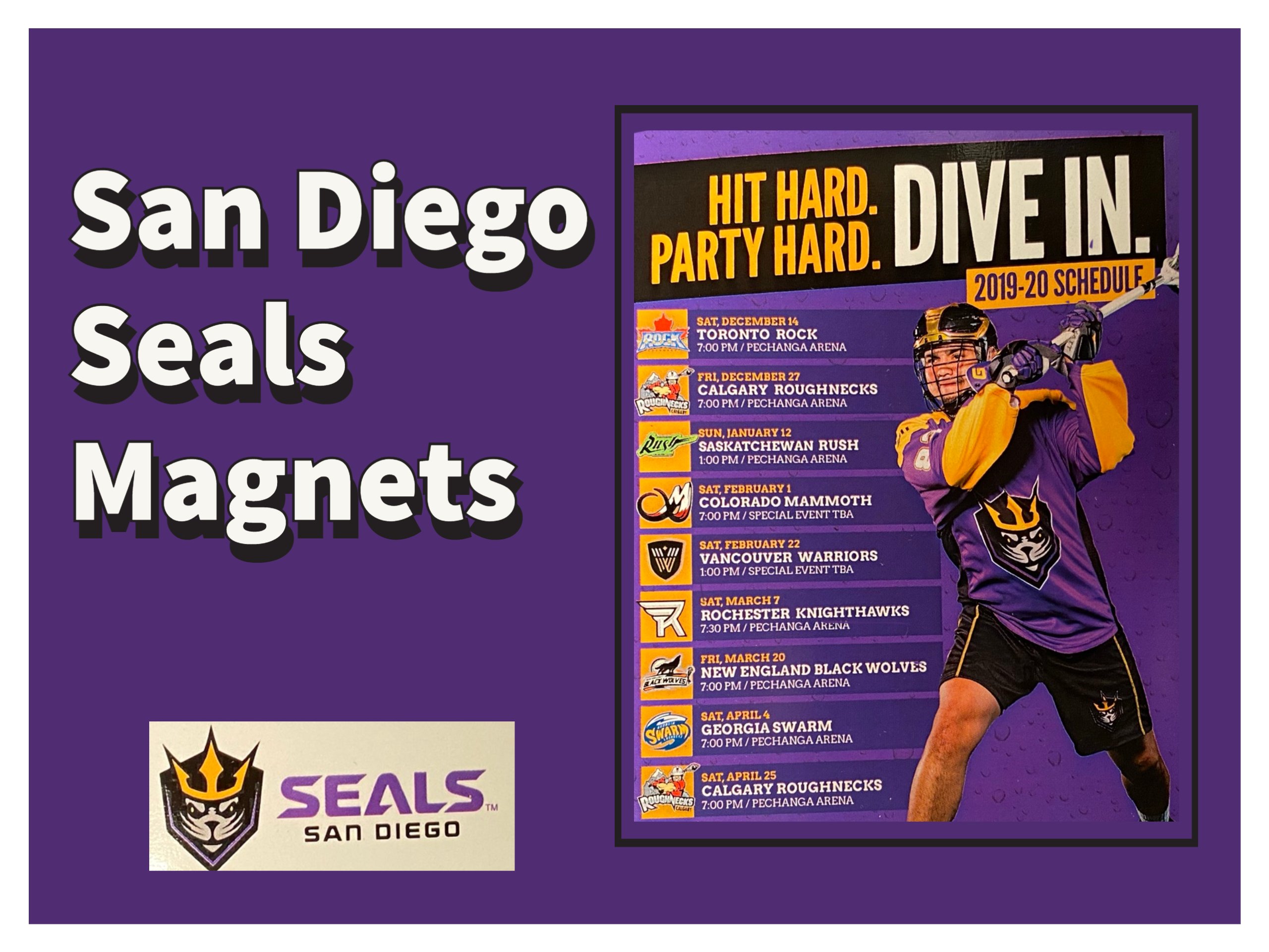 Past Projects | ReproMagic