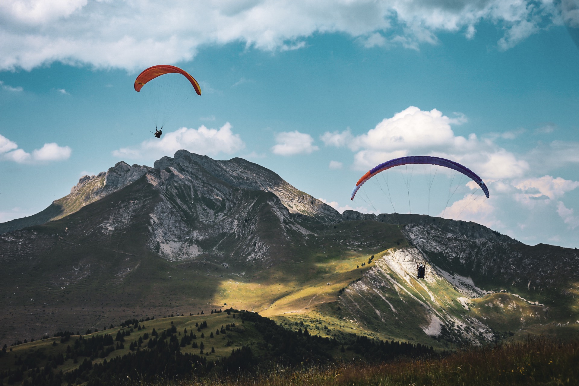 Paragliding activity | Activities