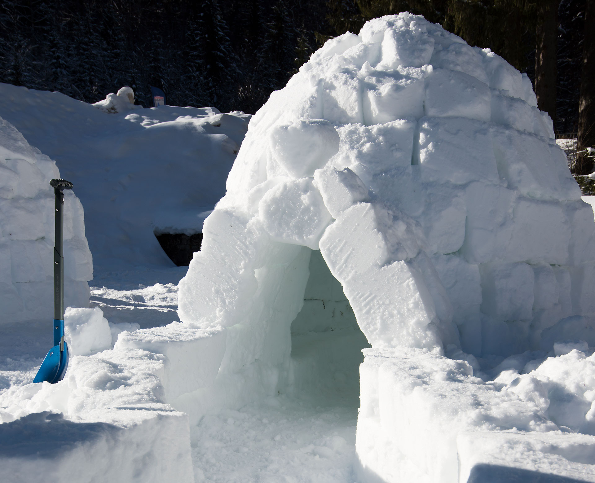 Igloo building | Activities
