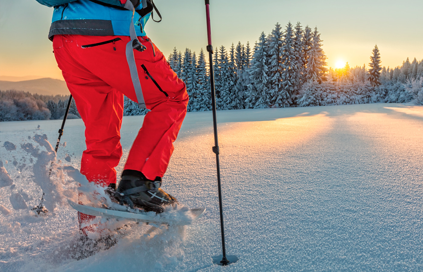 Snowshoe walk with bureau des guides | Activities