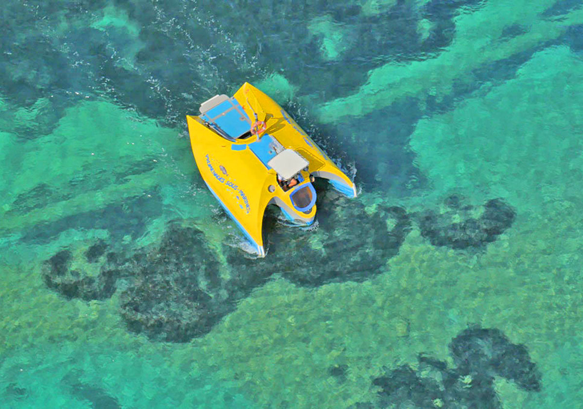 Aquascope | Activities