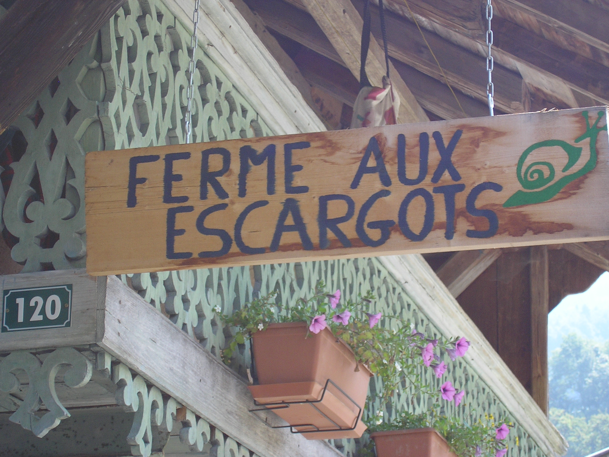 Helixa the snails farm | Producers