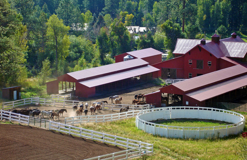 Colorado Trails Ranch (Durango, CO) - Resort Reviews - ResortsandLodges.com
