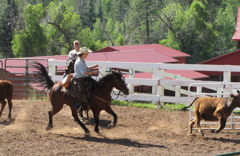 Colorado Trails Ranch (Durango, CO) - Resort Reviews - ResortsandLodges.com