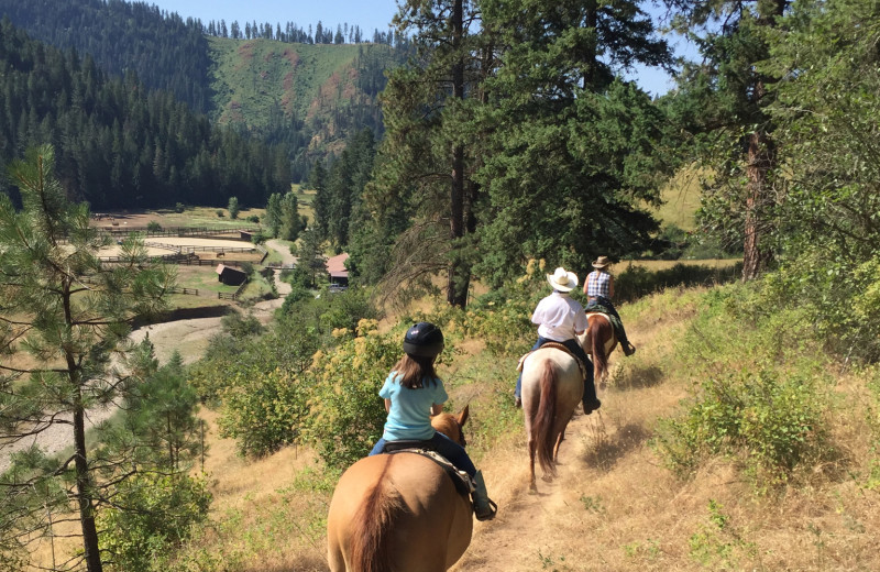Red Horse Mountain Ranch (Harrison, ID) - Resort Reviews ...