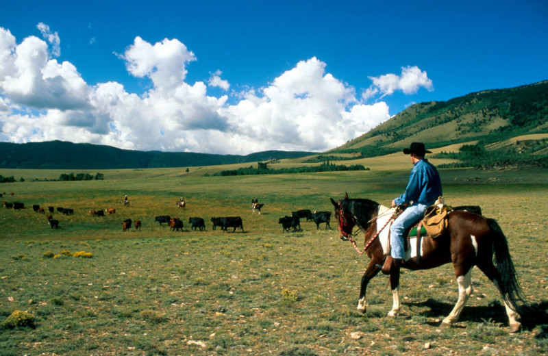 Vee Bar Guest Ranch (Laramie, WY) - Resort Reviews - ResortsandLodges.com