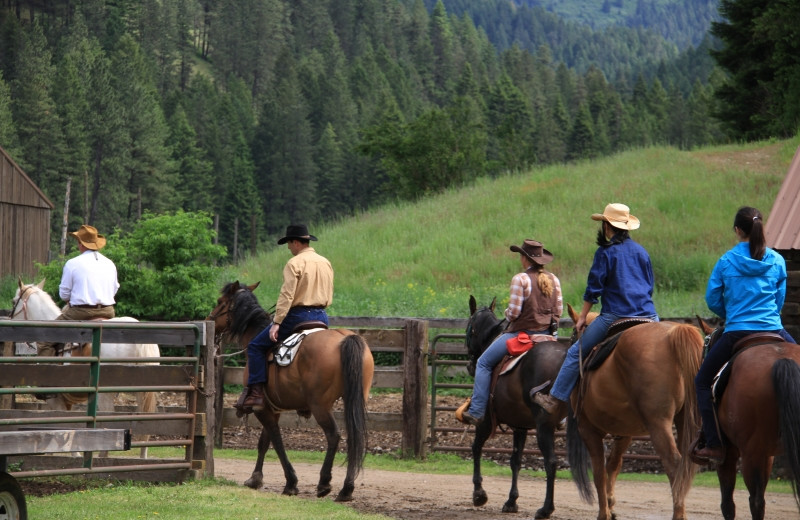 Red Horse Mountain Ranch (Harrison, ID) - Resort Reviews ...