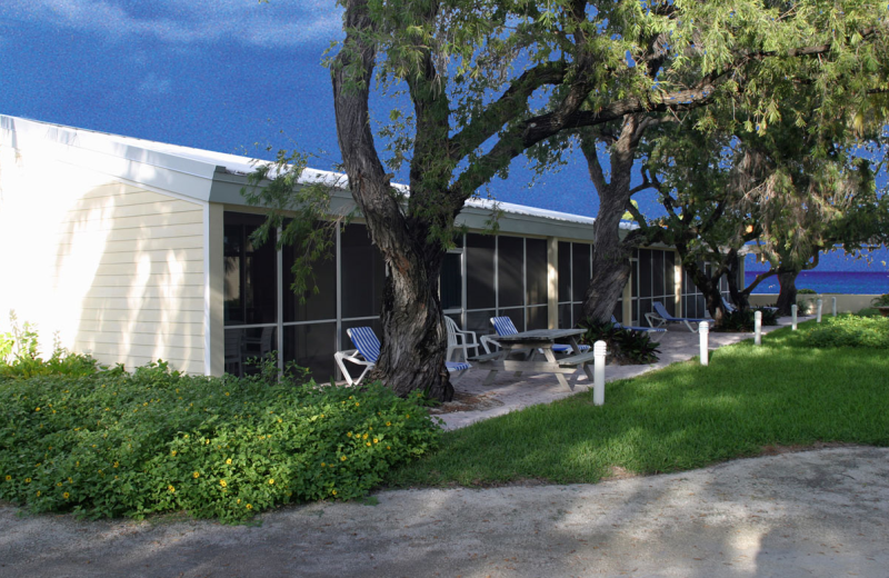 Islander Resort (Islamorada, FL) - Resort Reviews - ResortsandLodges.com