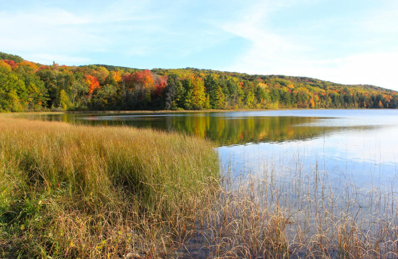 Fisher's Lakeside Cottages (Maple City, MI) - Resort Reviews ...