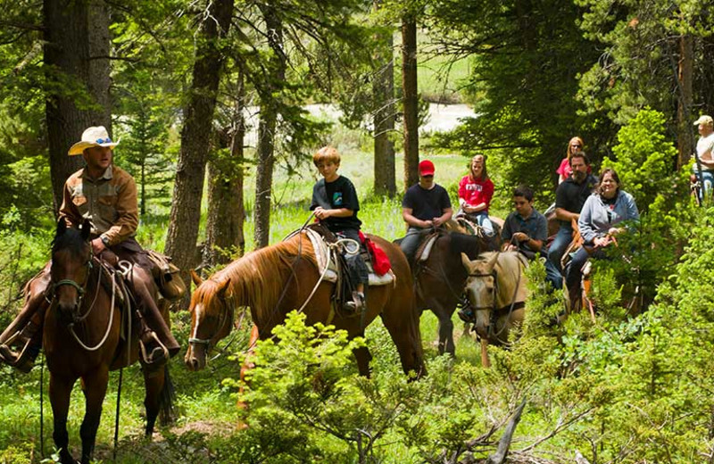 320 Guest Ranch (Gallatin Gateway, MT) - Resort Reviews ...