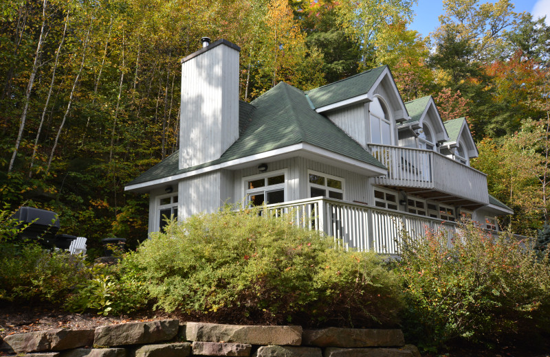 Port Cunnington Lodge & Resort (Lake of Bays Dwight, Ontario) - Resort ...