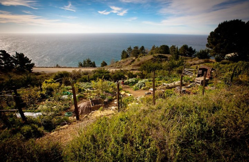 Treebones Resort (Big Sur, CA) - Resort Reviews - ResortsandLodges.com