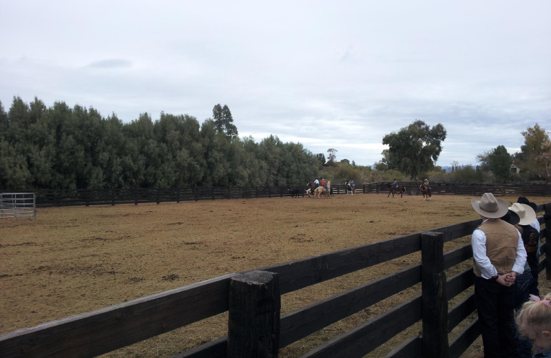 Vee Bar Guest Ranch (Laramie, WY) - Resort Reviews - ResortsandLodges.com