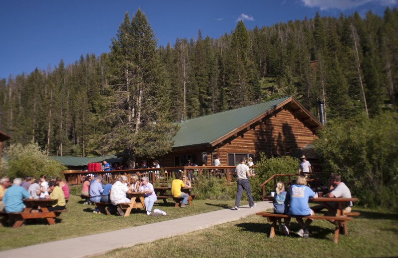 320 Guest Ranch (Gallatin Gateway, MT) - Resort Reviews ...