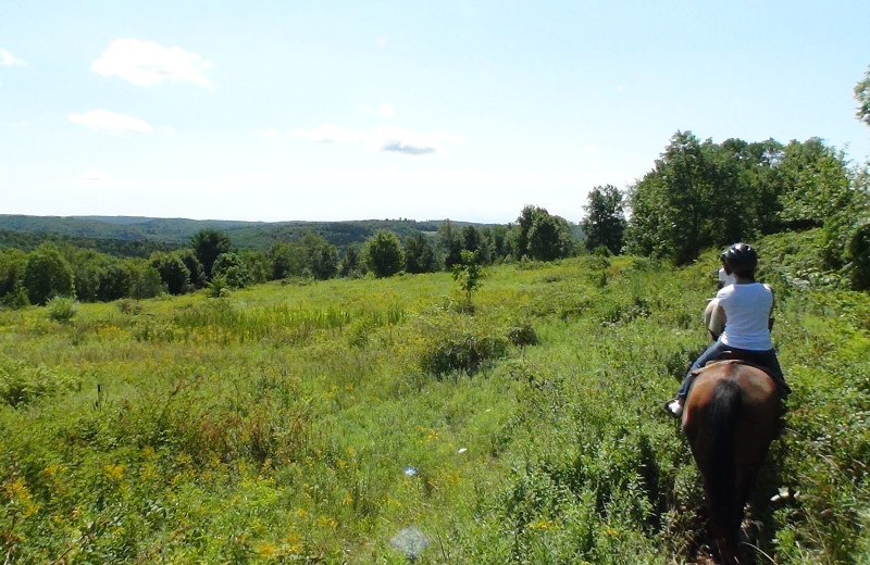 Villa Roma Resort and Conference Center (Callicoon, NY) - Resort ...