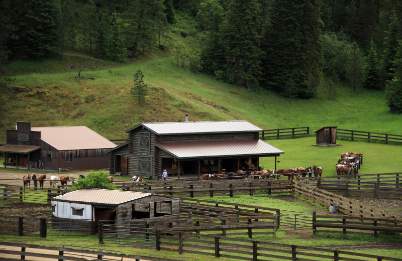 Red Horse Mountain Ranch (Harrison, ID) - Resort Reviews ...