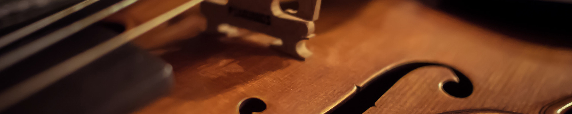 Violins - New & Used Violins For Sale | Reverb