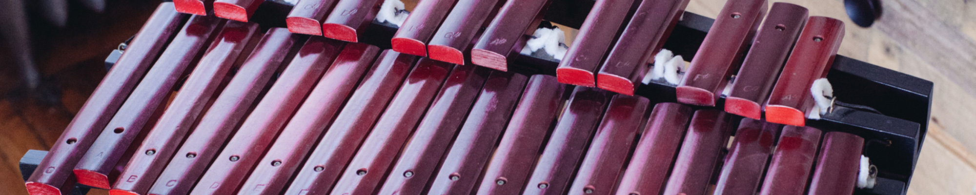 Mallet Percussion - New & Used Mallet Percussion For Sale | Reverb