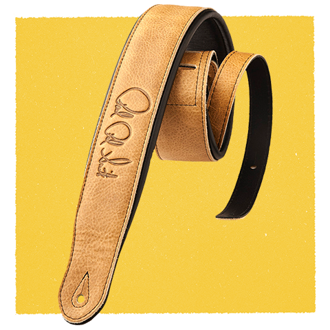 Premium Accessories from PRS Guitars | Reverb