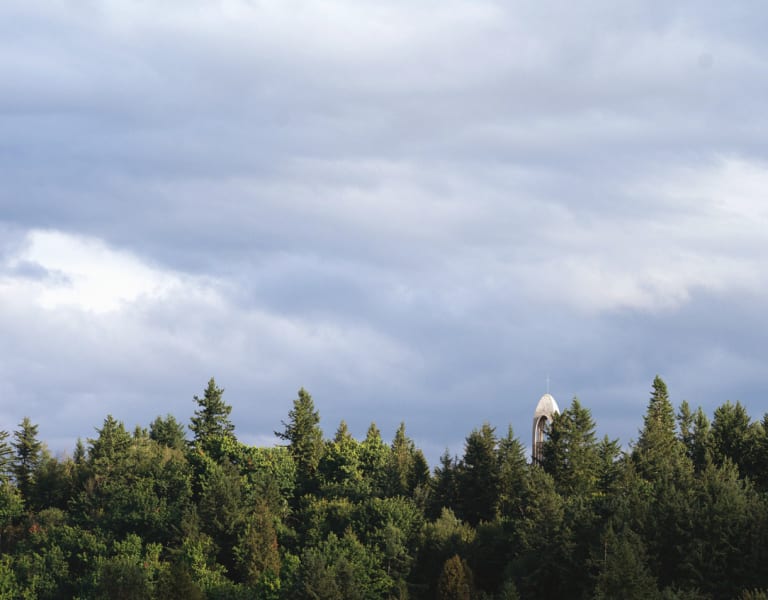 Mission, BC: A Hidden Gem in the Fraser Valley | REW | The Guide