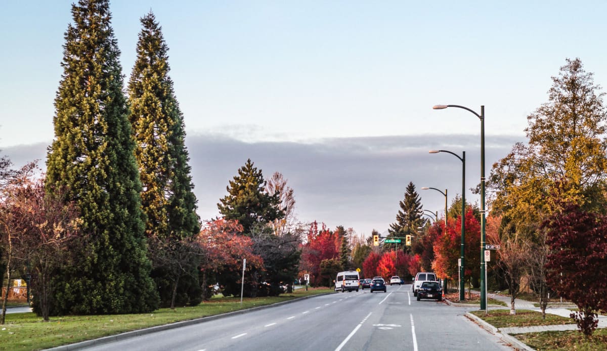 In the heart of Vancouver. | REW | The Guide