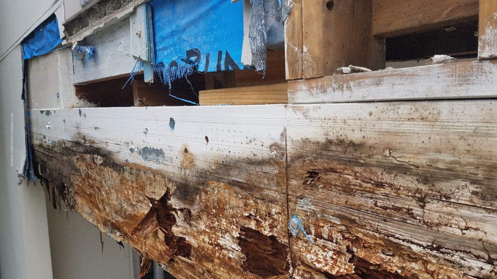 A short history of the leaky condo crisis. | REW | The Guide