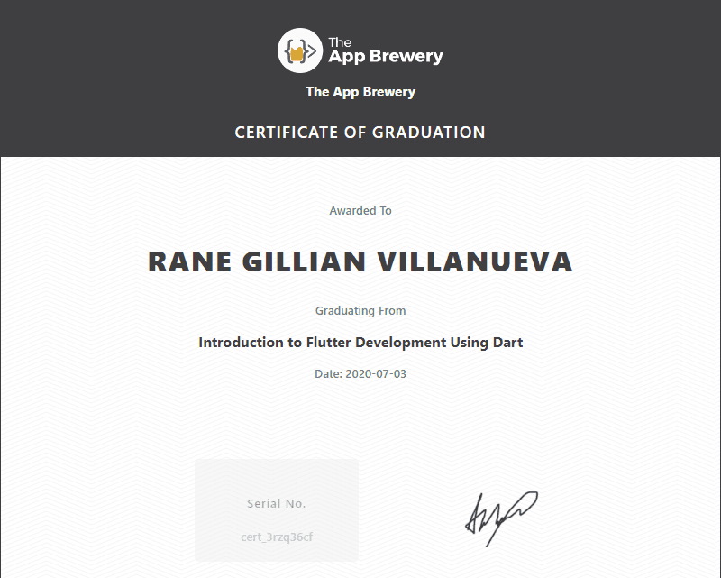 My Coding Journey Part 1 Rane Villanueva Blog