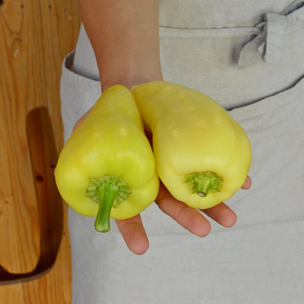 Rumena paprika - babura • Rifuzl