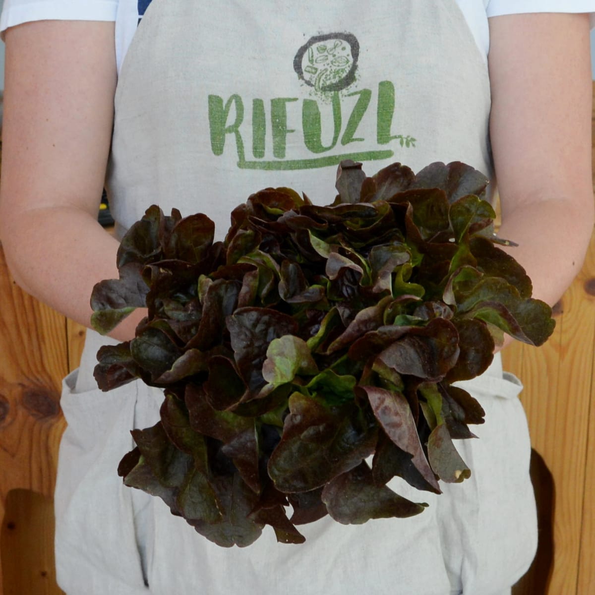 Solata - hrastov list • Rifuzl