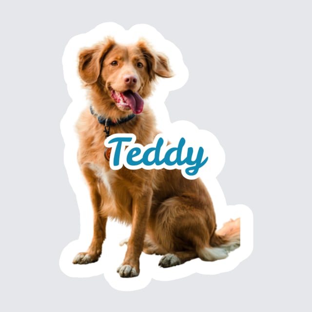 Rileyprint | Custom Stamps Made Easy | Rileyprint