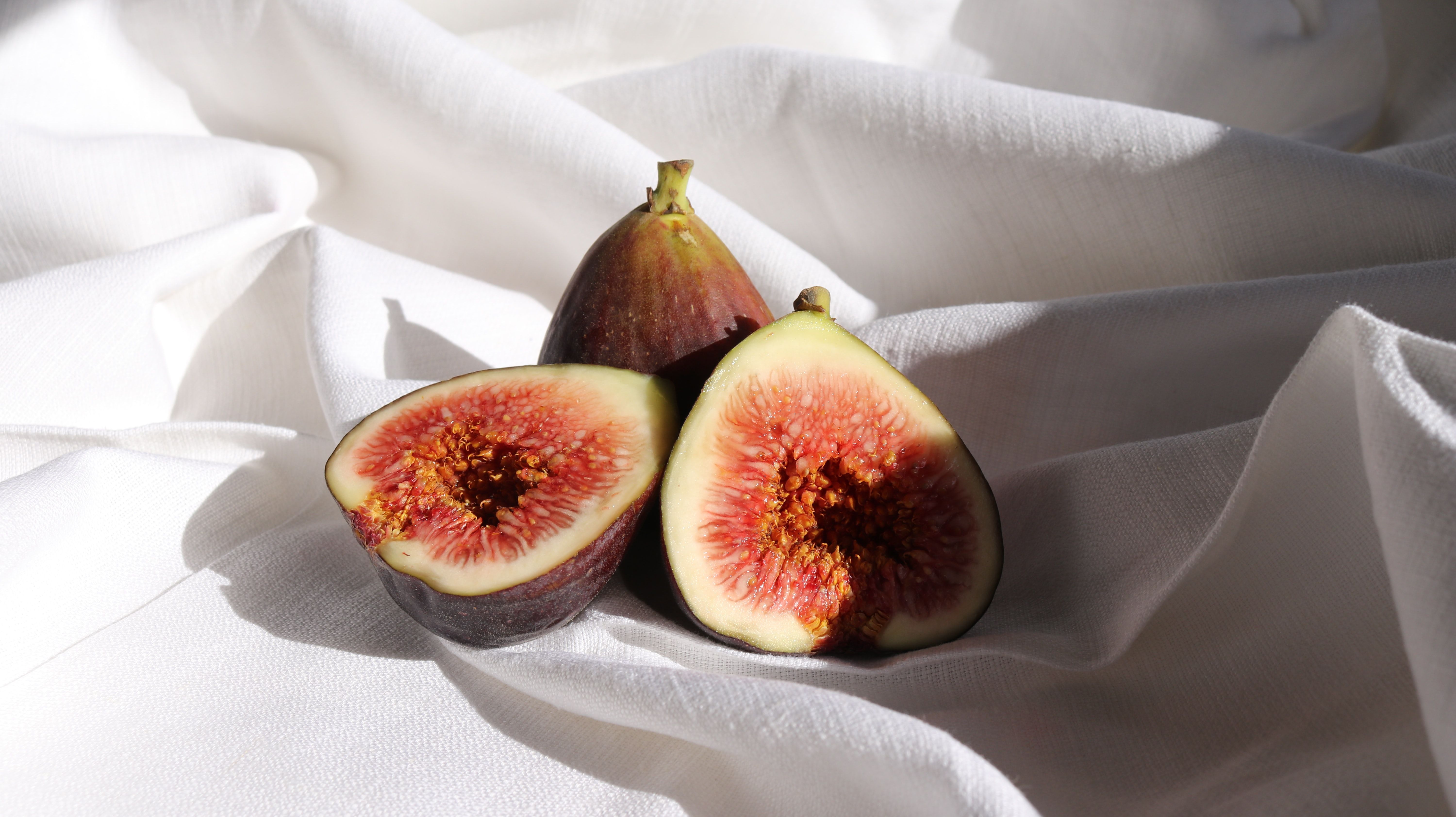 Figs and their wasps: is there a dead bug in your fruit? · Good Recipes