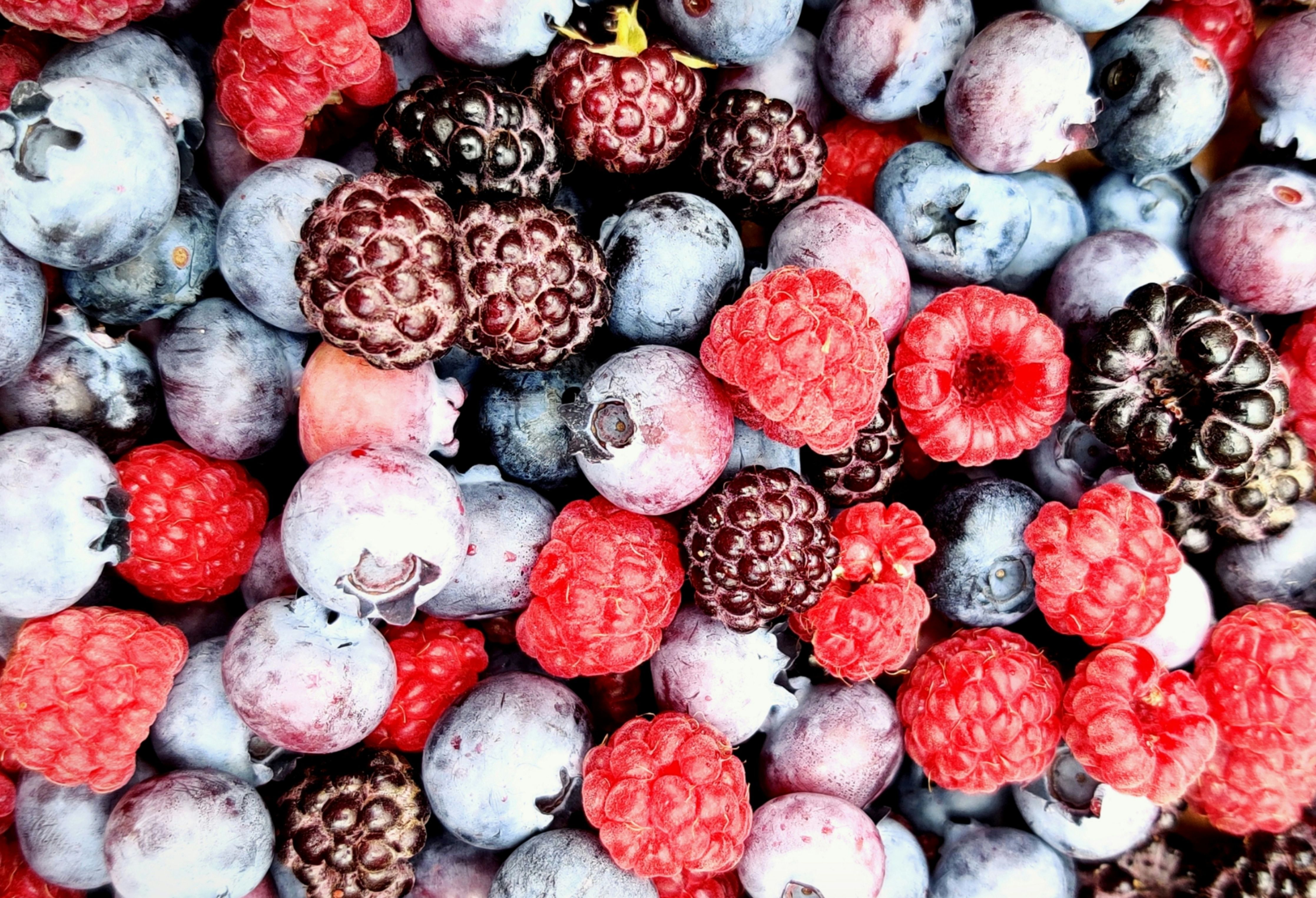 7 astounding berries and the things you didn't know about them | Rily ...