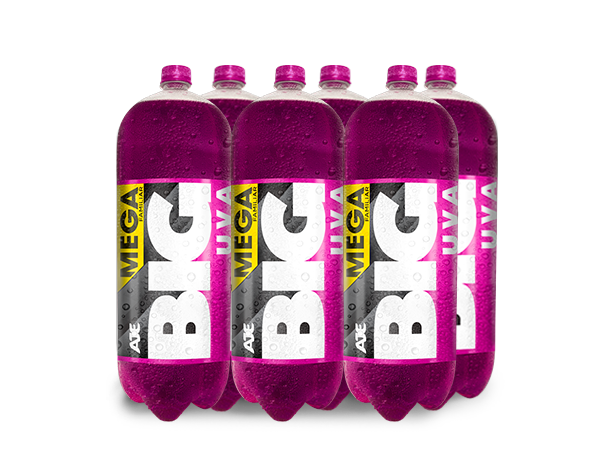 BIG UVA PET NO RETORNABLE 3030 ML 6