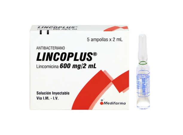 LINCOPLUS 600 MG. AMP X 5 UNID