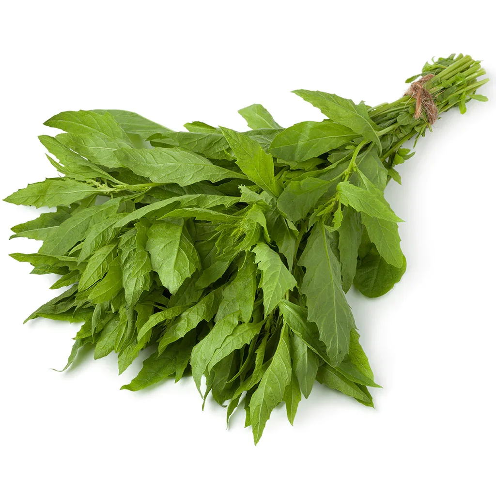 Epazote Manojo