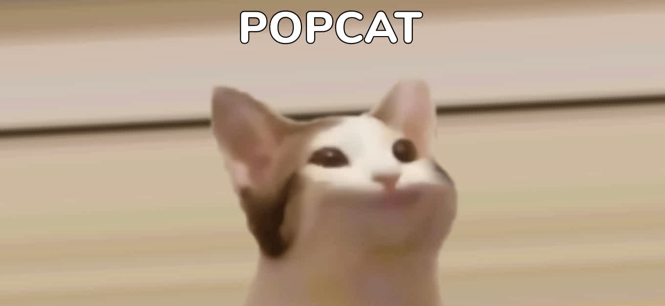 Popcat Price Slips Amid Market Volatility: Is a Crash Imminent for This Meme Coin? | Rivalry