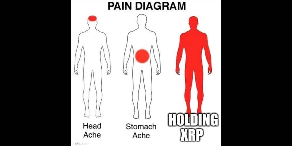 Hottest & Most Relatable Crypto Memes (January 2025) | Rivalry