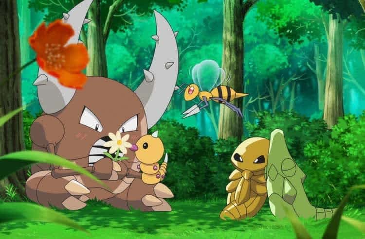 Bug Pokemon: Trainer's Field Guide | Rivalry