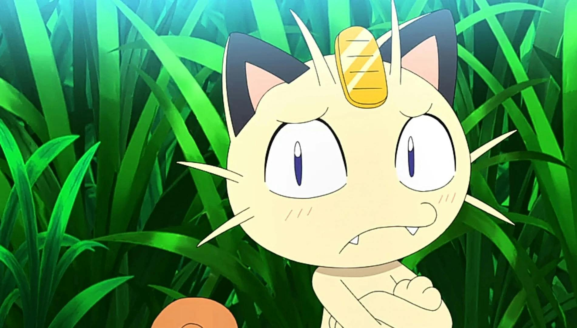 Complete List Of All Cat Pokemon In The Franchise Rivalry