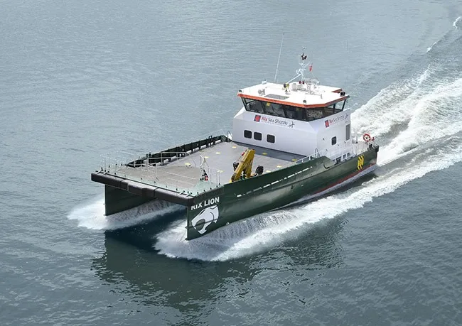 Rix Lion - Rix Renewables