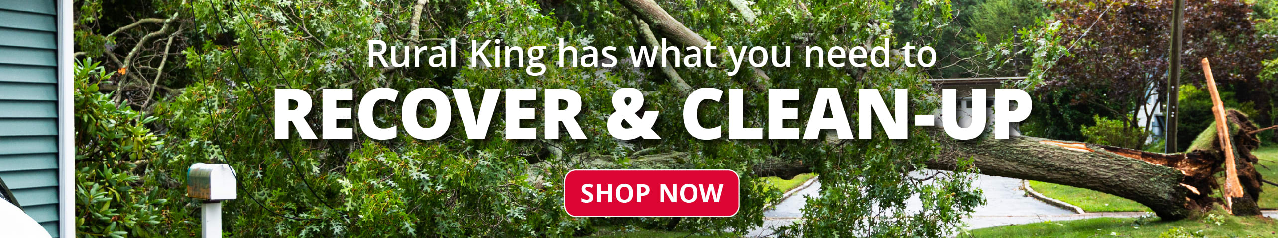 Generators | Rural King