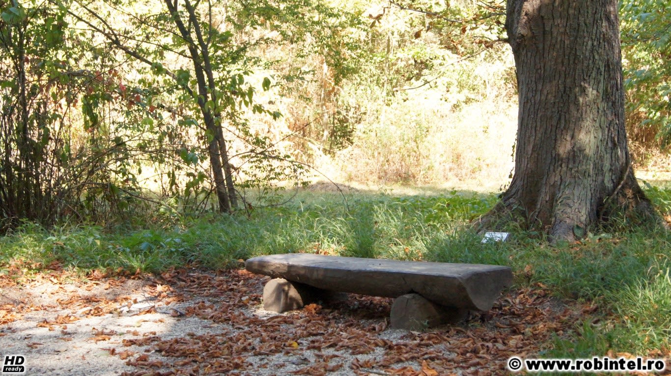 Parcul Dendrologic Simeria | Robintel