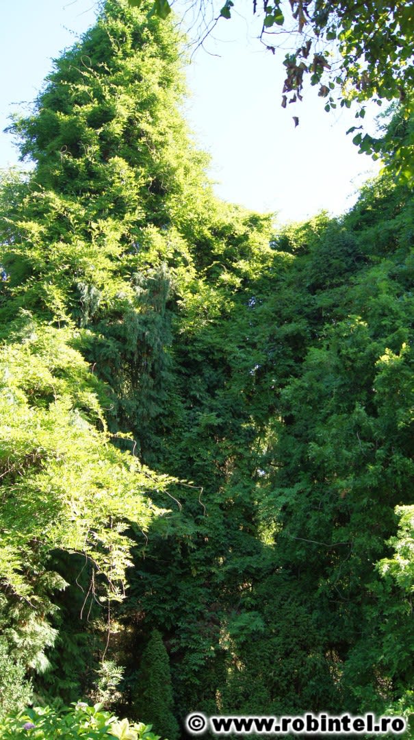 Parcul Dendrologic Simeria | Robintel