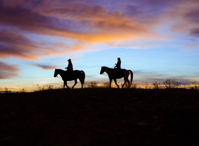 Zion Mountain Ranch | Zion National Park