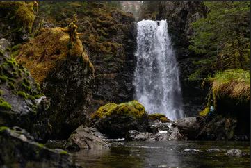 Fox Island Day Trip | National Park