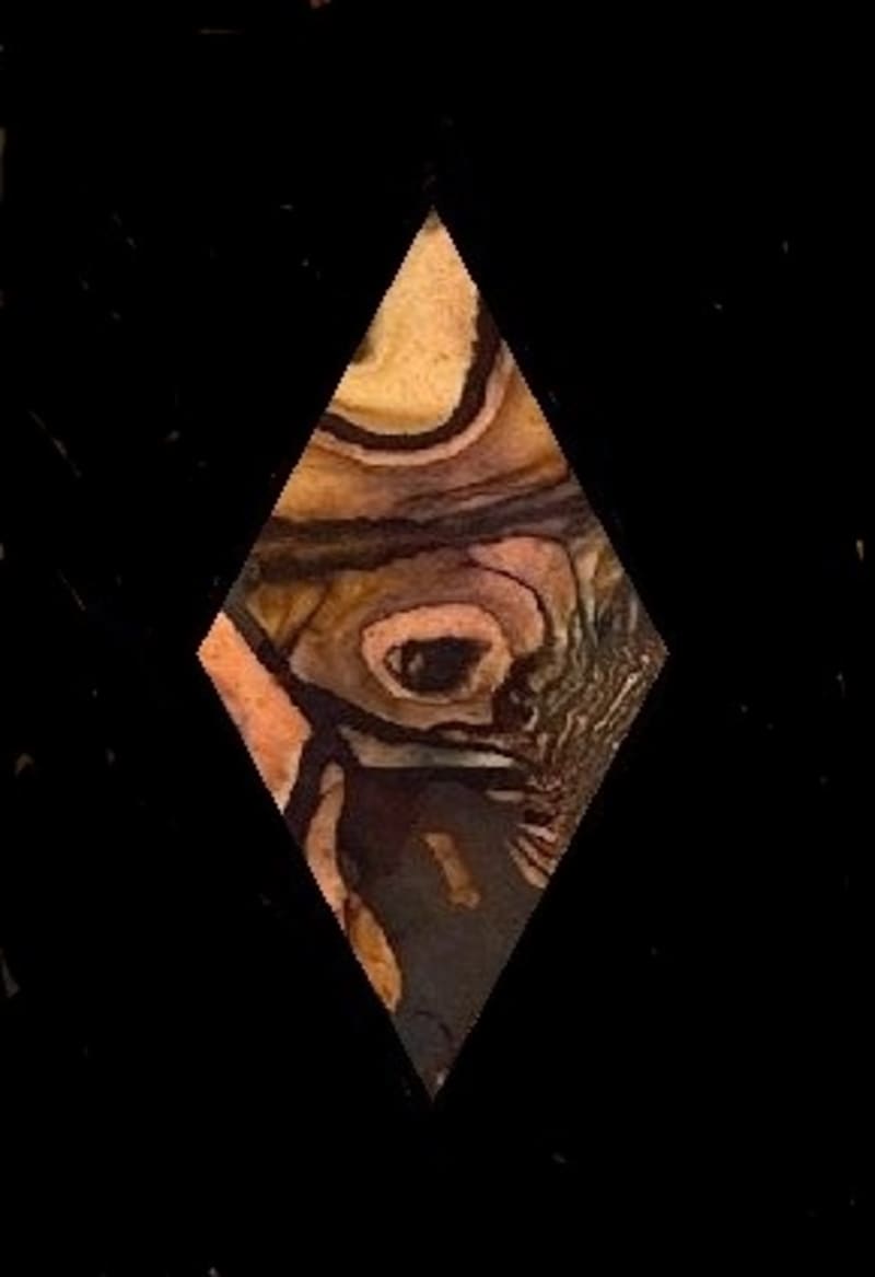 🌟 NOW OPEN 🌟 Cab That Slab: January 2026 - Nguni Jasper | Rock Tumbling ...