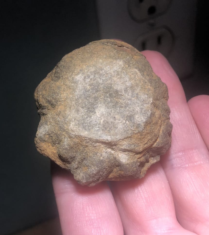 Unknown Fossils from my backyard (SE Missouri) | Rock Tumbling Hobby