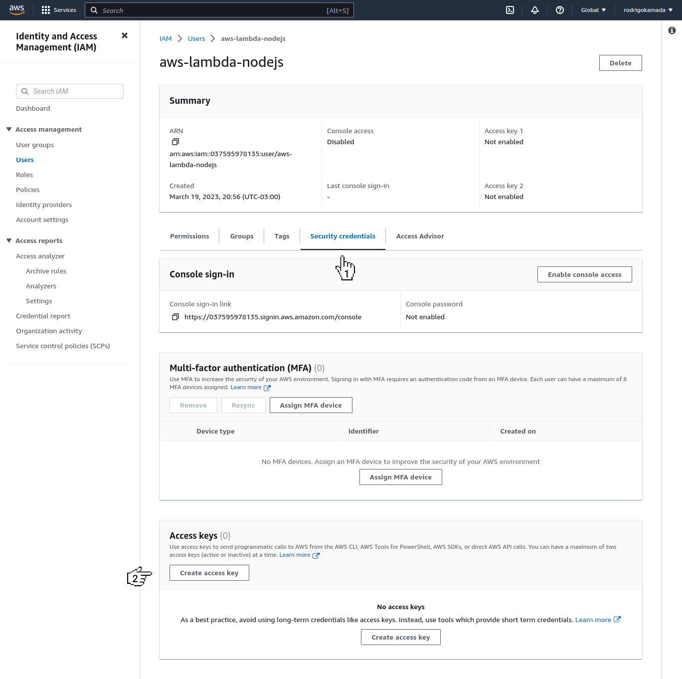 Rodrigo Kamada - Software developer
