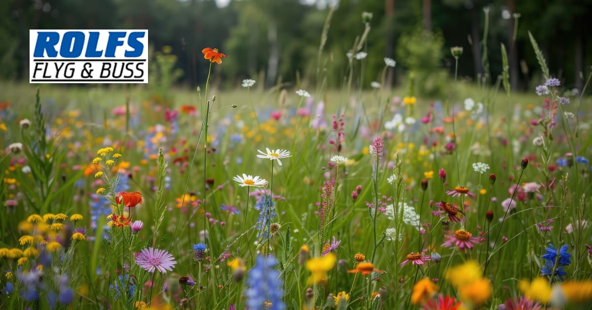 Midsommar Lundsbrunn - Rolfs Flyg & Bussresor