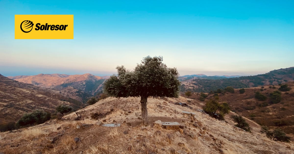 Vandring Cypern - Solresor